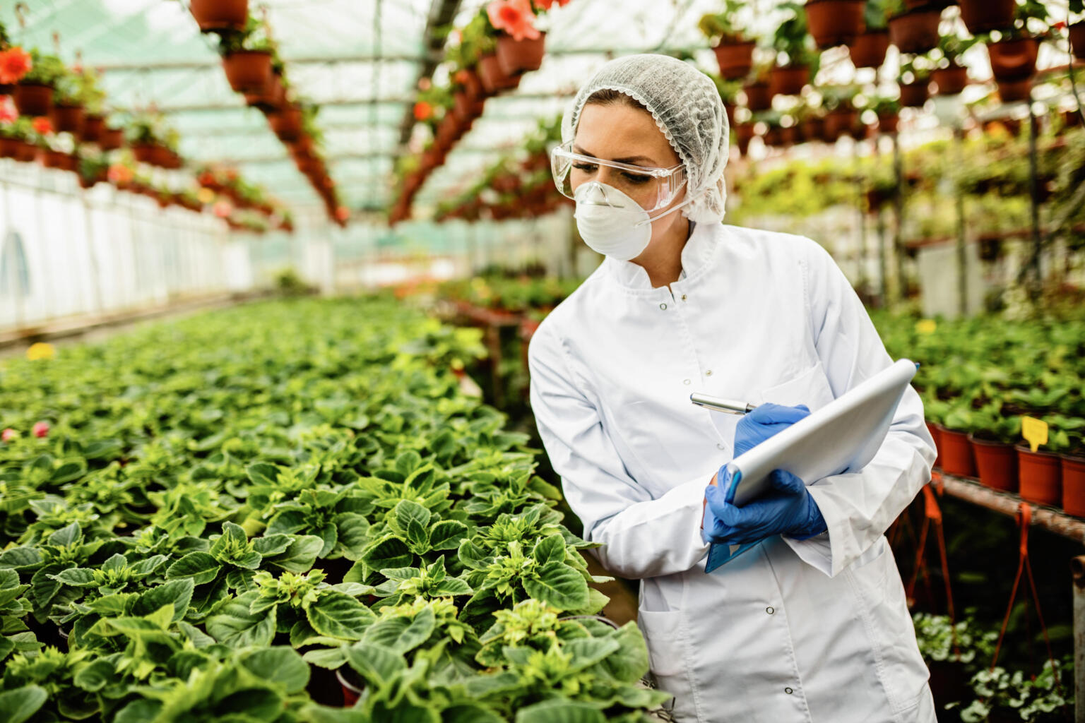 Organic Warehouse Certification: Requirements and Benefits - Worldwide ...